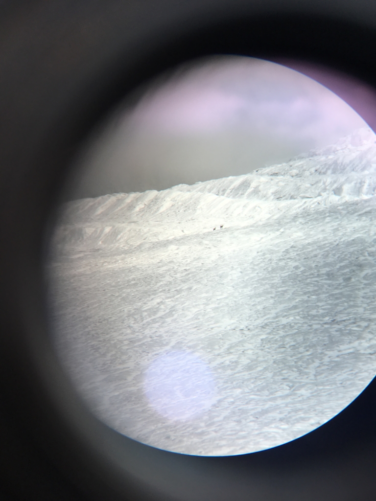 Seeing the Unseen: A Telephotography Workshop with Jane Chang Mi ...