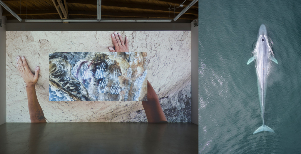 Peter Weiss-Penzias, A. M. Darke, Angus Forbes, and Susan Schwartz ...